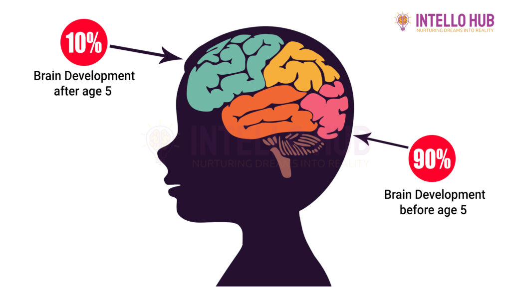 Early Childhood Brain Development – Intello Hub